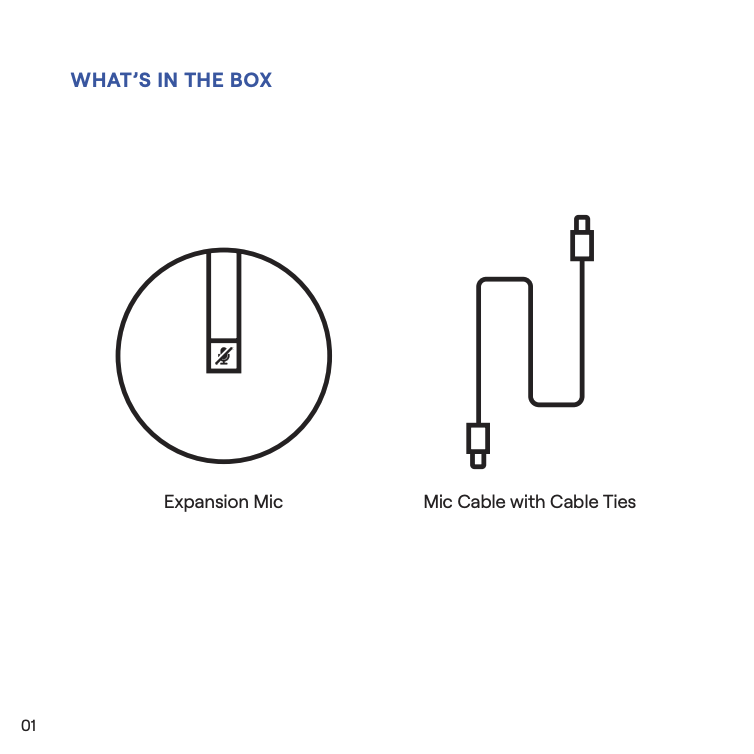 Expansion Mic Setup Guide